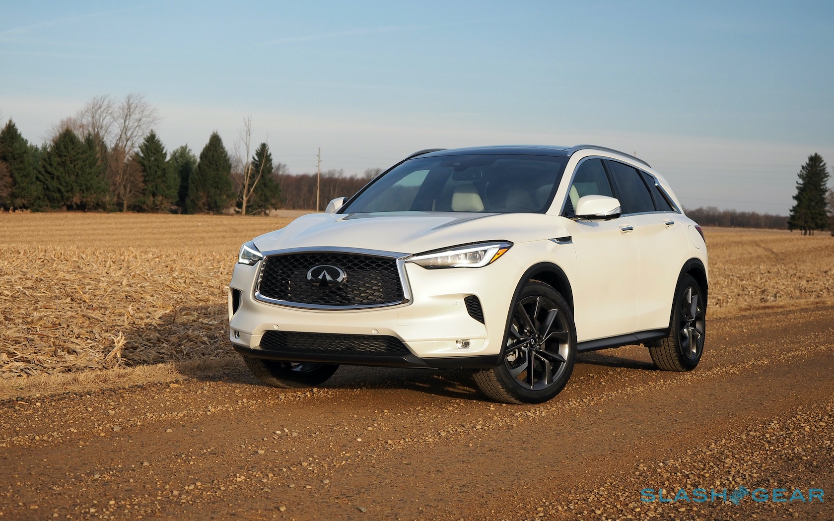 2021 Infiniti QX50 Gallery