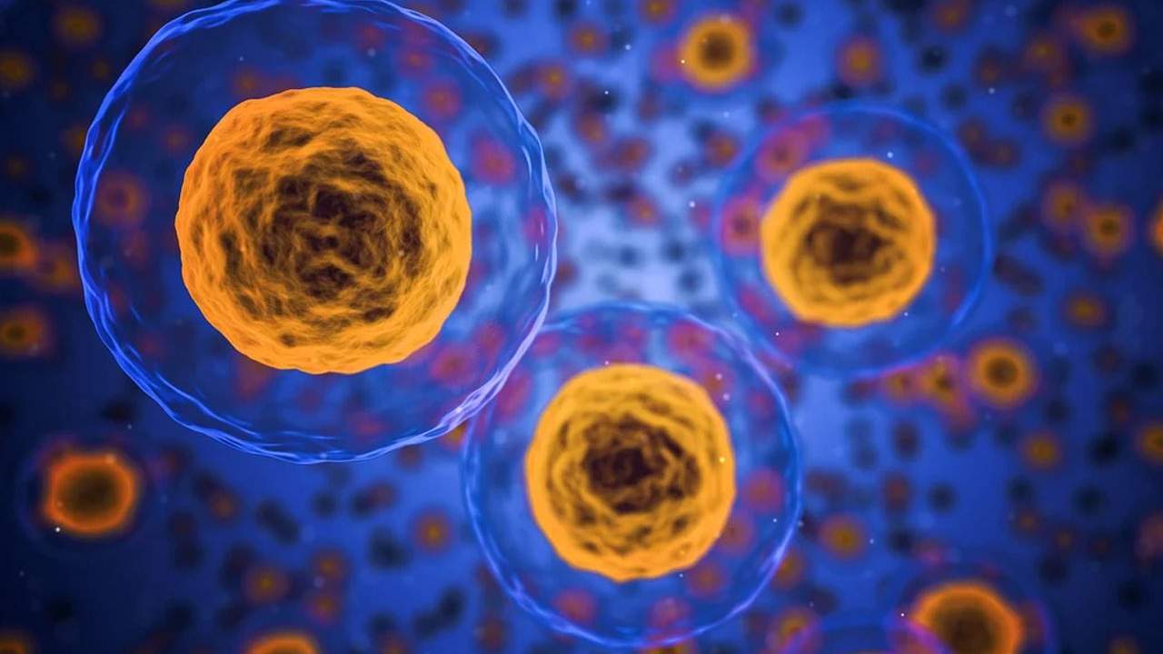 A synthetic cell that grows and divides normally was created in the lab ...