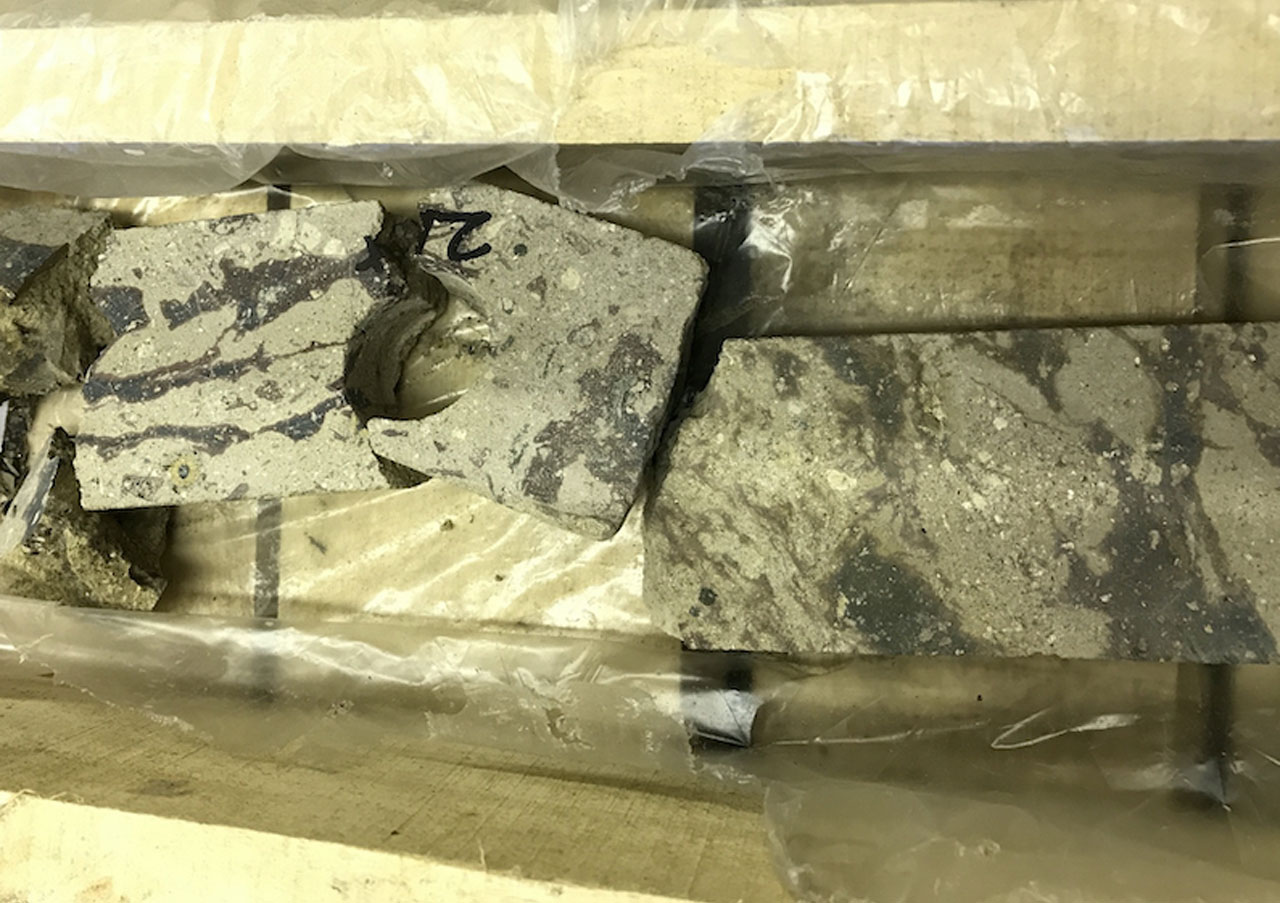 Gigantic meteorite impact in Ukraine dated to 65 million years ago ...