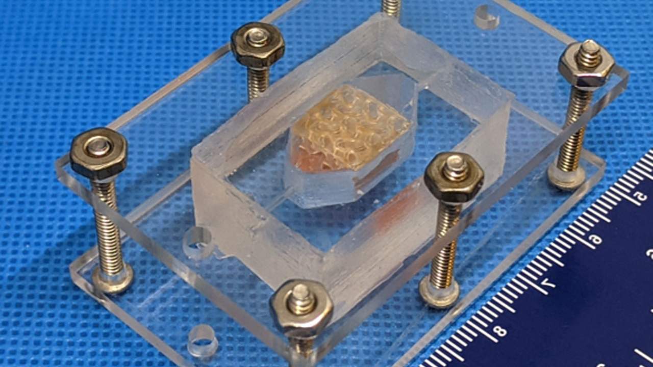 Teams from NASA Vascular Tissue Challenge create human tissue with 3D ...