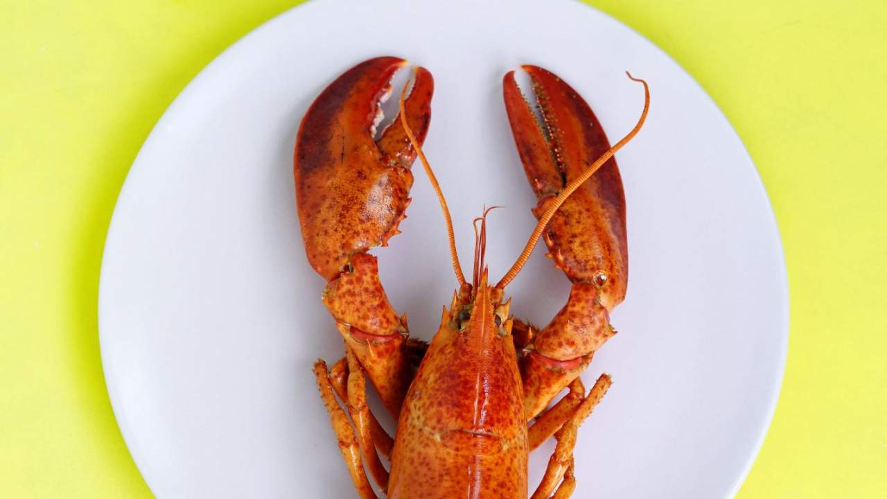 SlashGear - Page 362