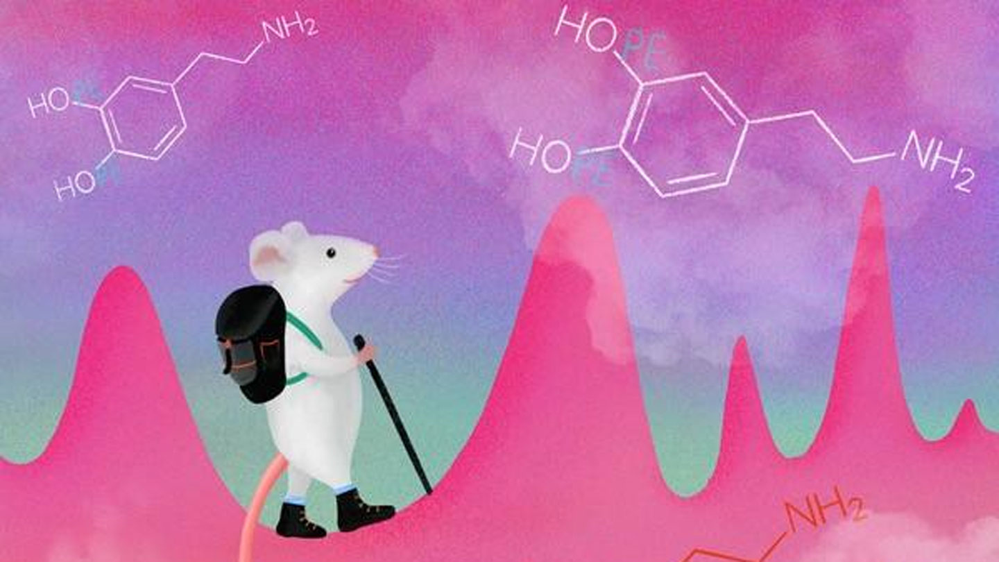Study finds mice can learn to manipulate dopamine impulses - SlashGear